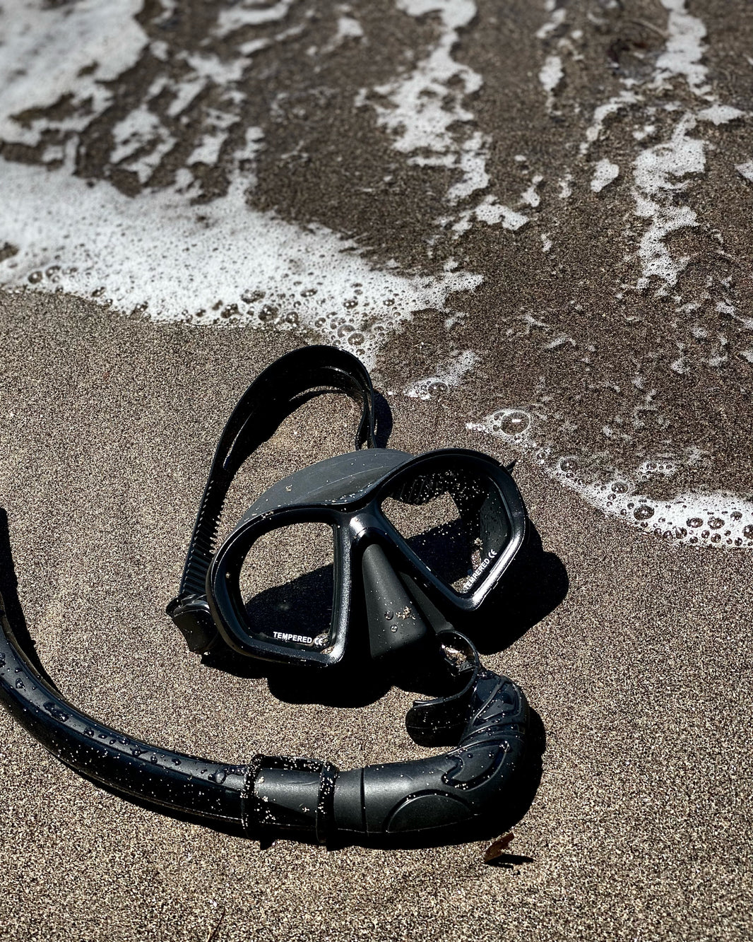 Mask & Snorkel – Badfish Dive Gear